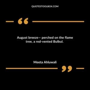 105 Positively Perfect August 2025 Quotes (Celebrate)