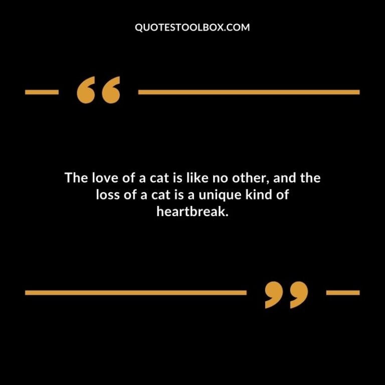 127 Final Goodbye Loss of Cat Quotes (Pure Love)