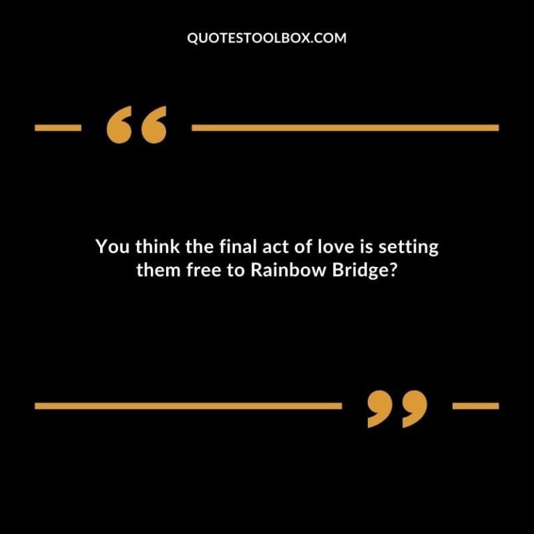 127 Final Goodbye Loss of Cat Quotes (Pure Love)